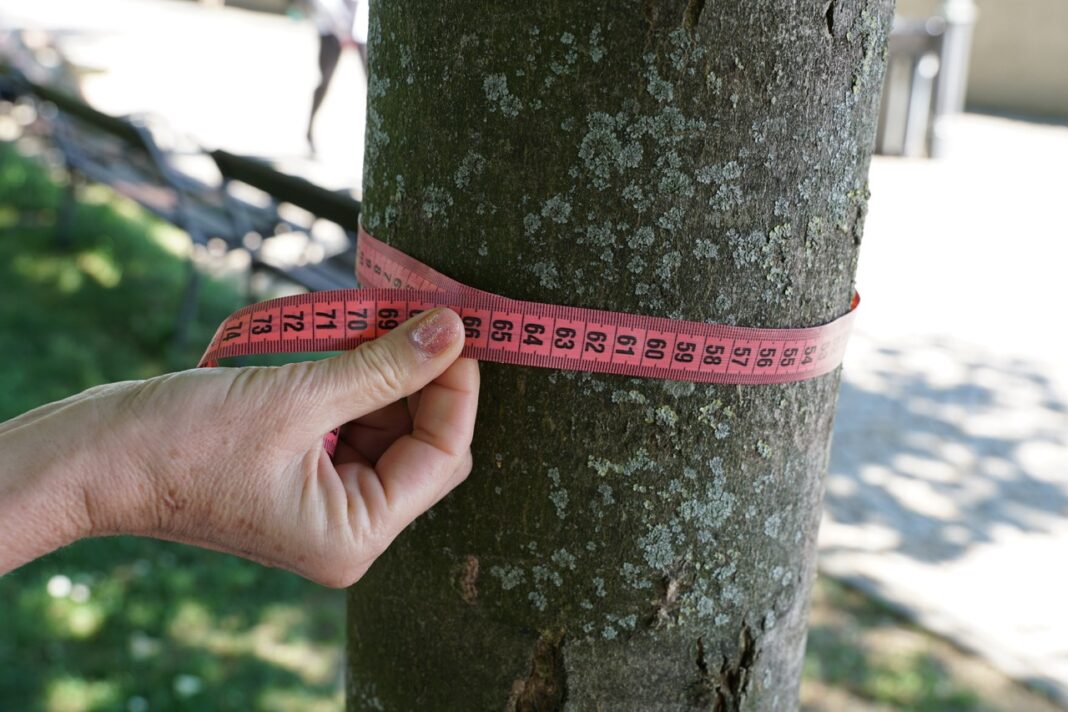 Novela o výruboch z dielne Ministerstva životného prostredia dramaticky ...